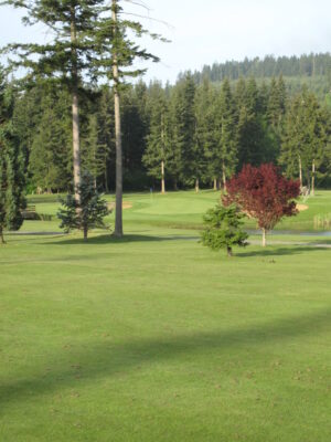Course Info - Camaloch Golf Course