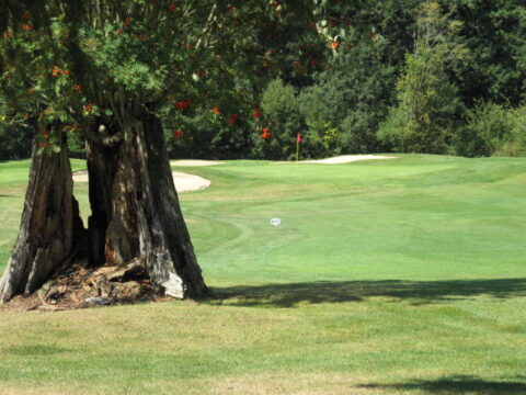 Course Info - Camaloch Golf Course